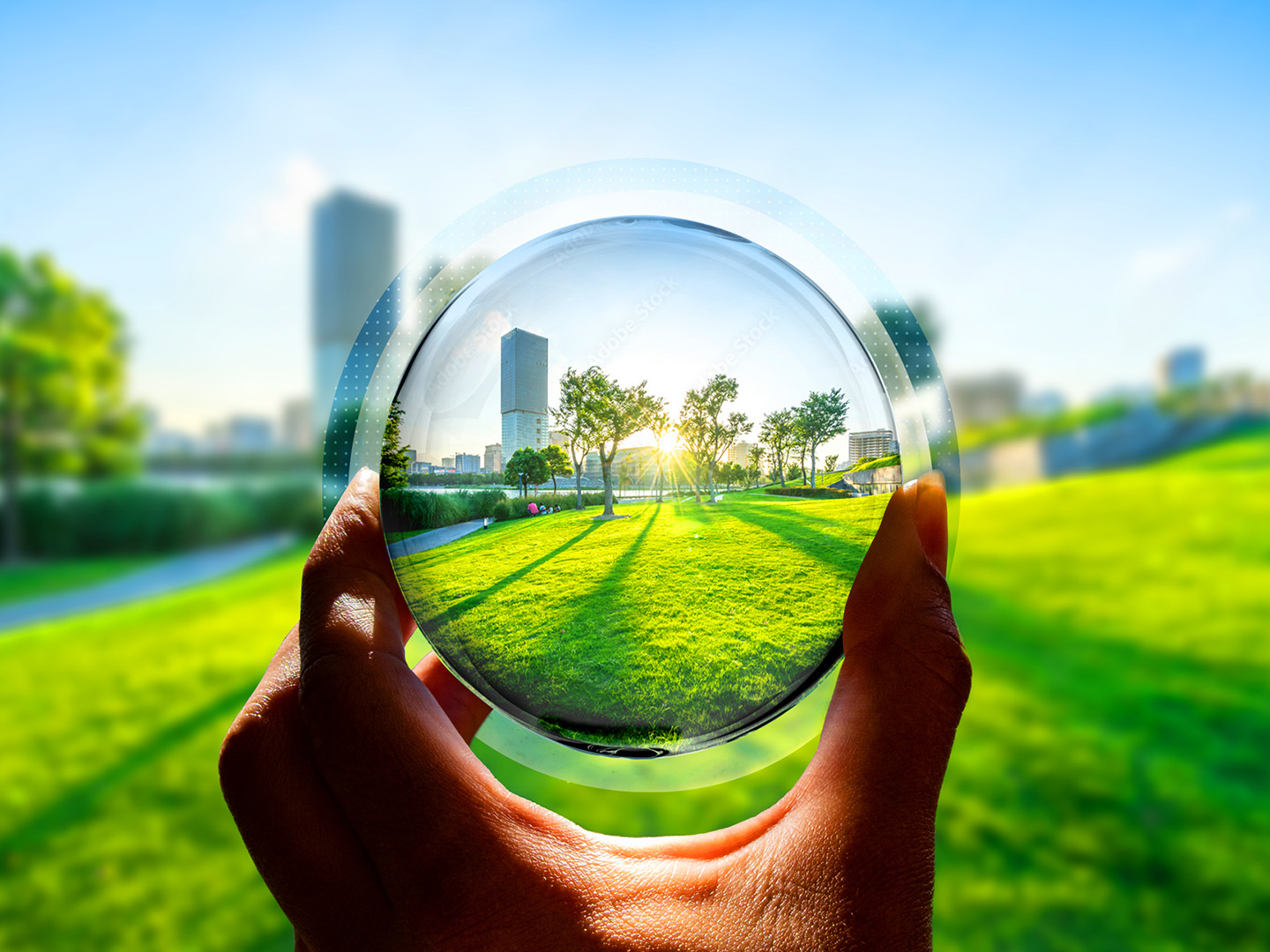 Intensity by Hanita Lenses