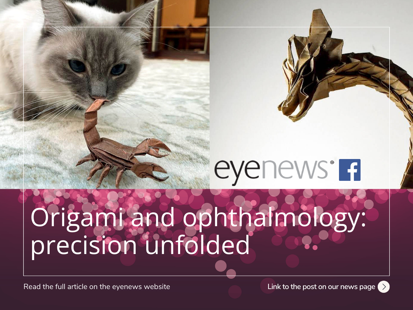 Origami & Ophthalmology - Precision Unfolded